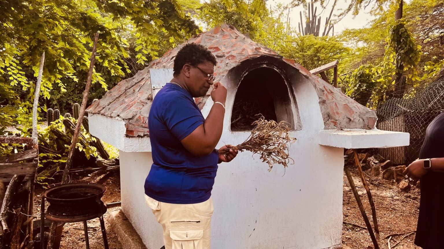 Curaçao inspiratie: Cultuur, Natuur & Geschiedenis