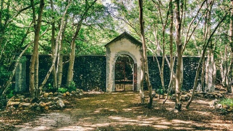 Hòfi Mango, het park van Jandino » Reserveer tickets