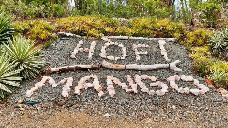 Hòfi Mango, het park van Jandino » Reserveer tickets