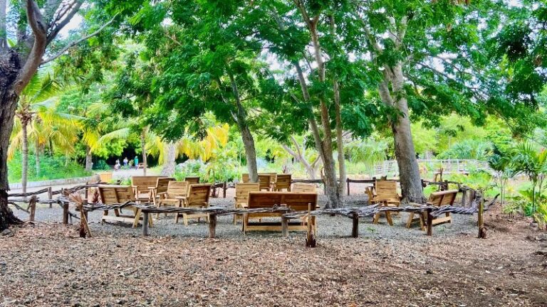 Hòfi Mango, het park van Jandino » Reserveer tickets