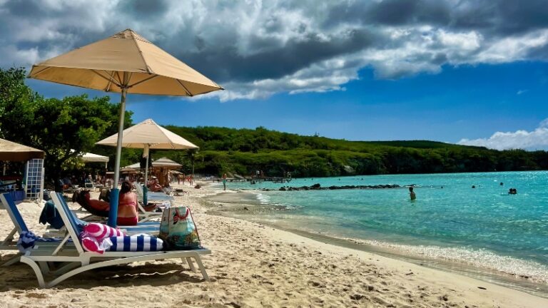 Playa Porto Mari Curacao, het strand van de varkentjes!